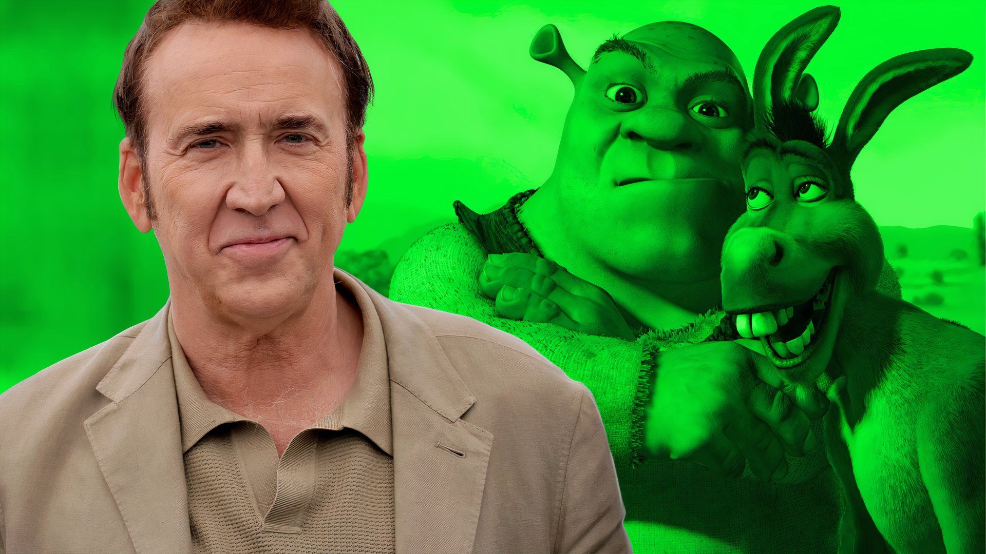 8 Biggest Differences Between the Shrek Movie and Book