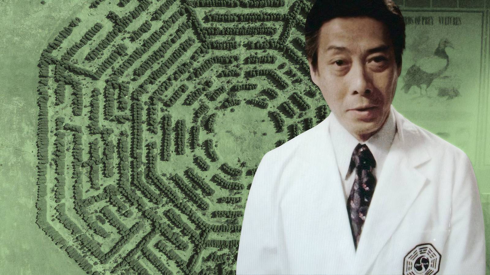 Lost and the Dharma Initiative, Explained