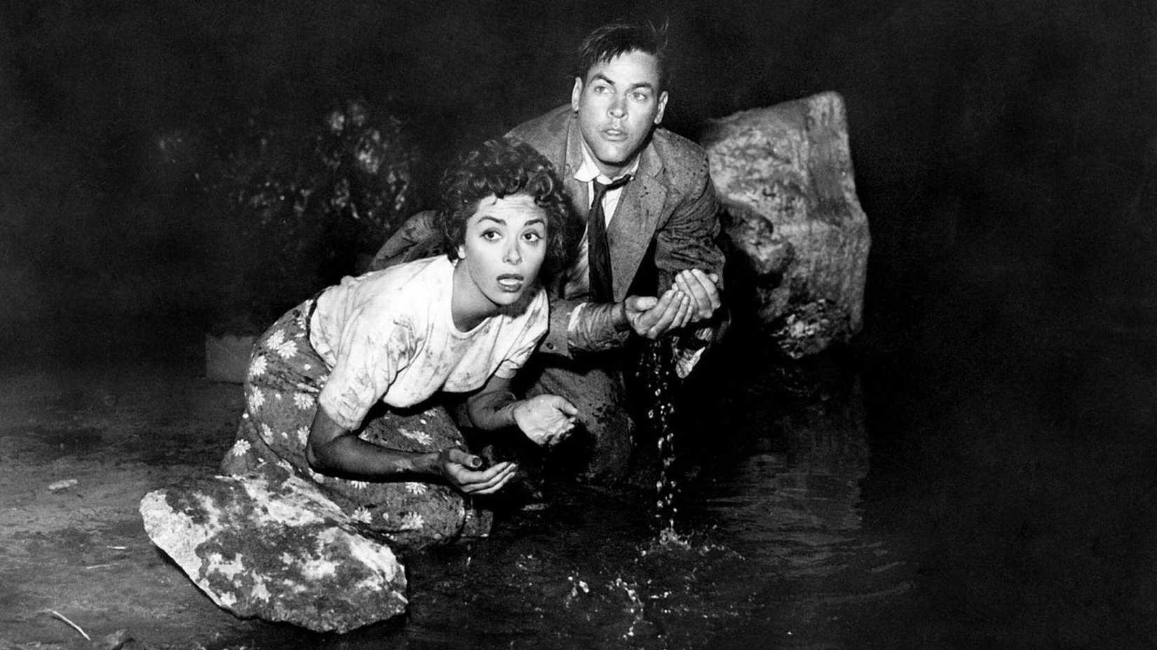 'Invasion of the Body Snatchers': The Classic Sci-Fi Movie That’s Been ...