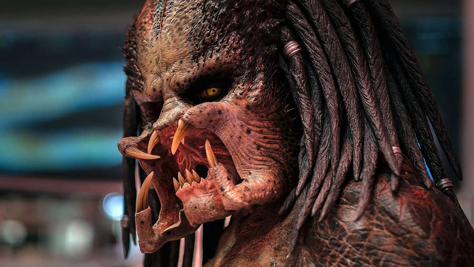 ‘Predator: Badlands’ First Look & Detaisl Revealed by Director Dan ...