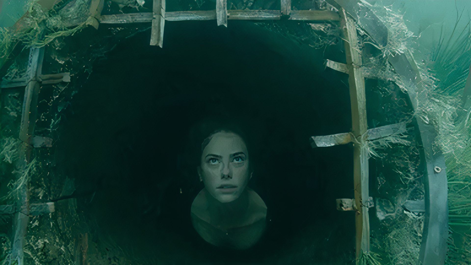 Crawl 2 Director Alexandre Aja Reveals Plans For The Horror Movie Sequel