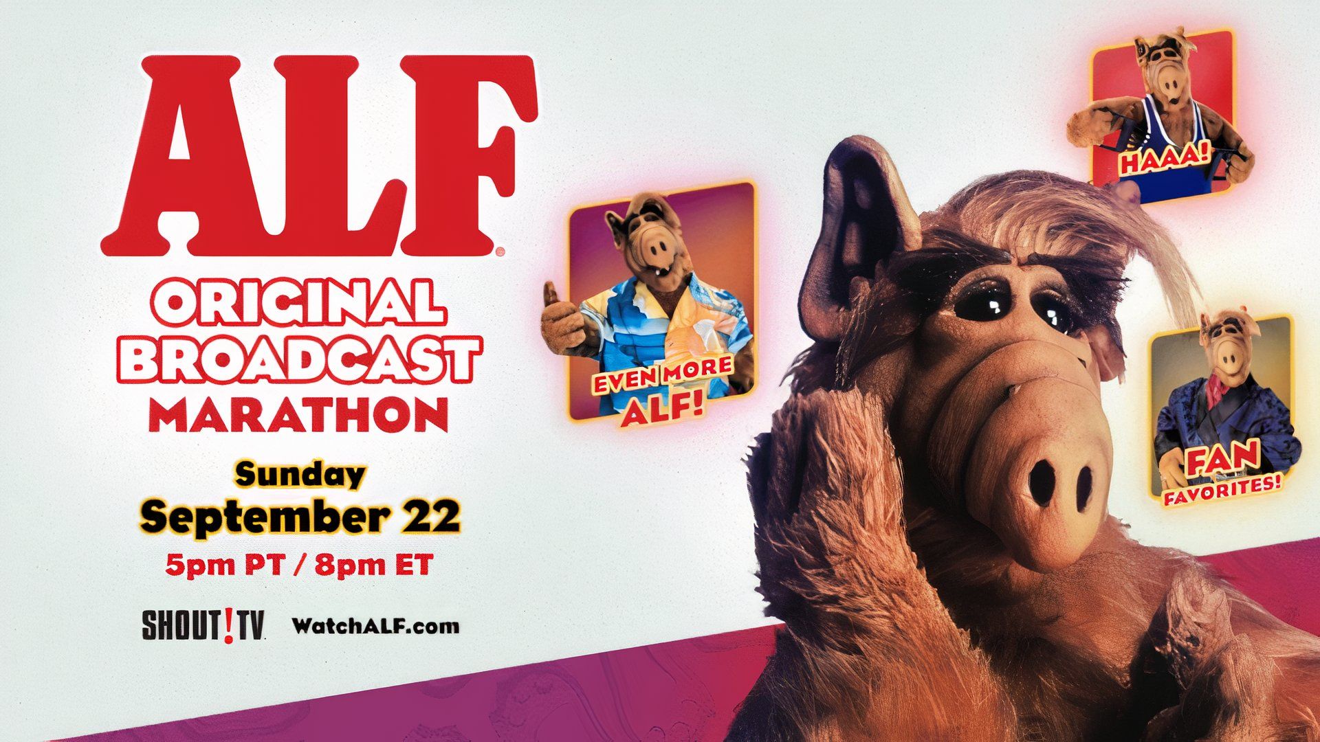 ALF | MovieWeb