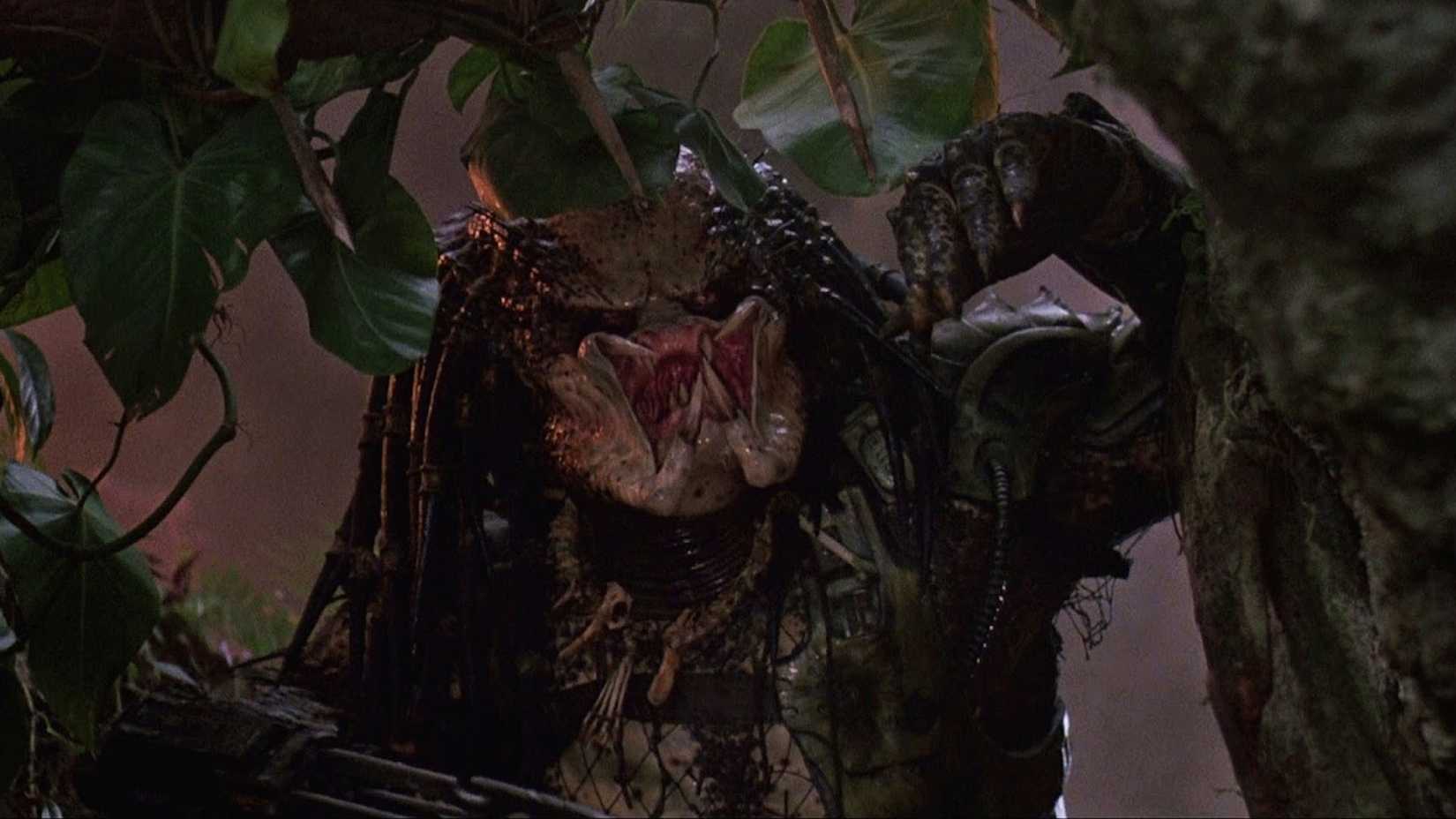 Every Predator and Their Weapons and Tactics, Explained