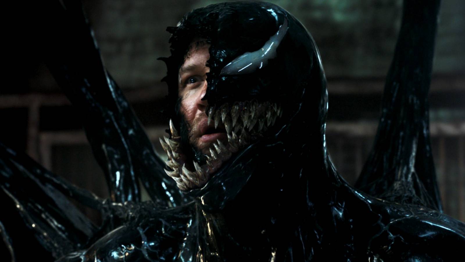 Venom: The Last Dance Director Teases the Future of the Sony & Marvel ...