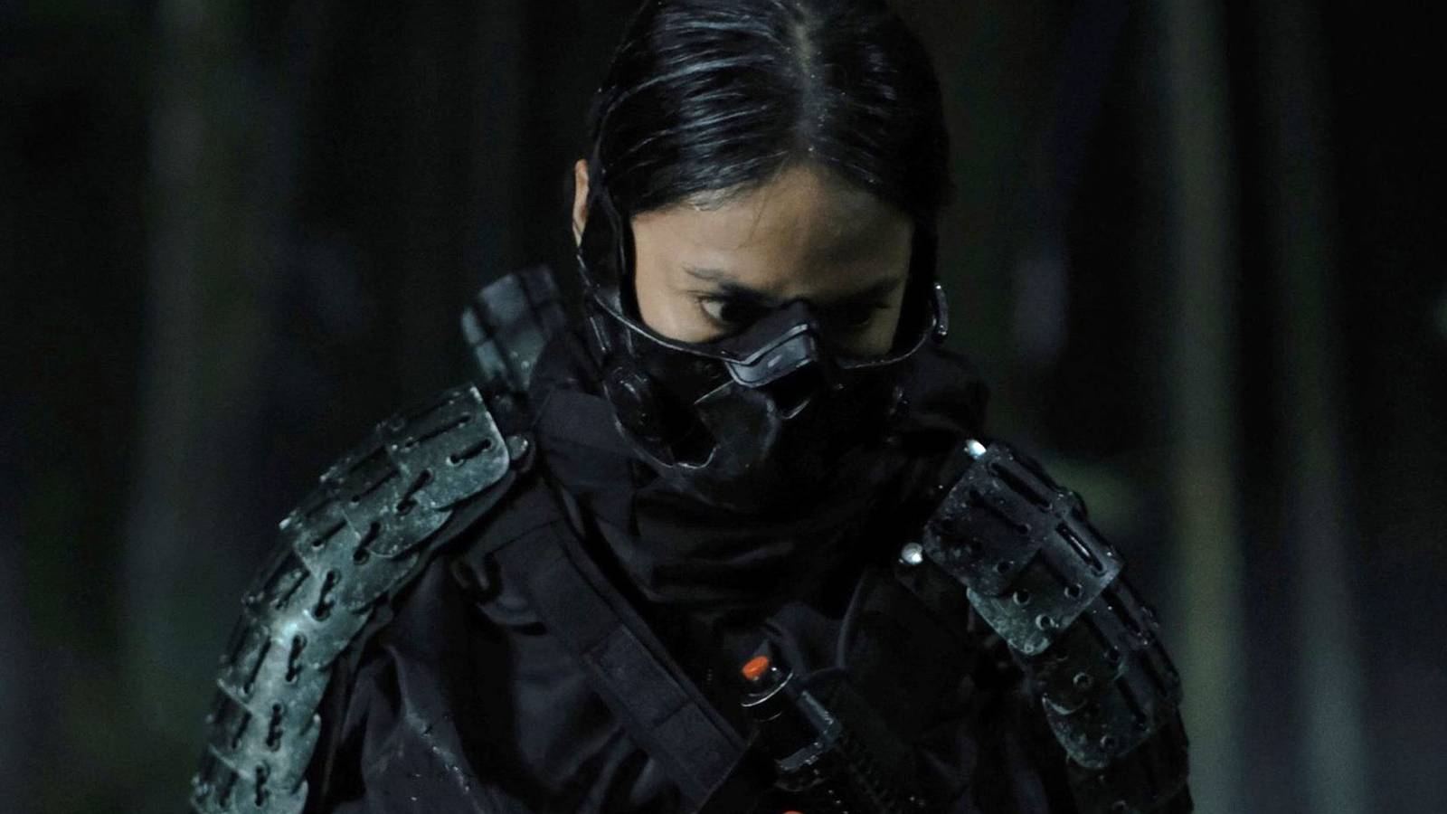 The Shadow Strays Rotten Tomatoes Score Promises the Most Badass Action ...