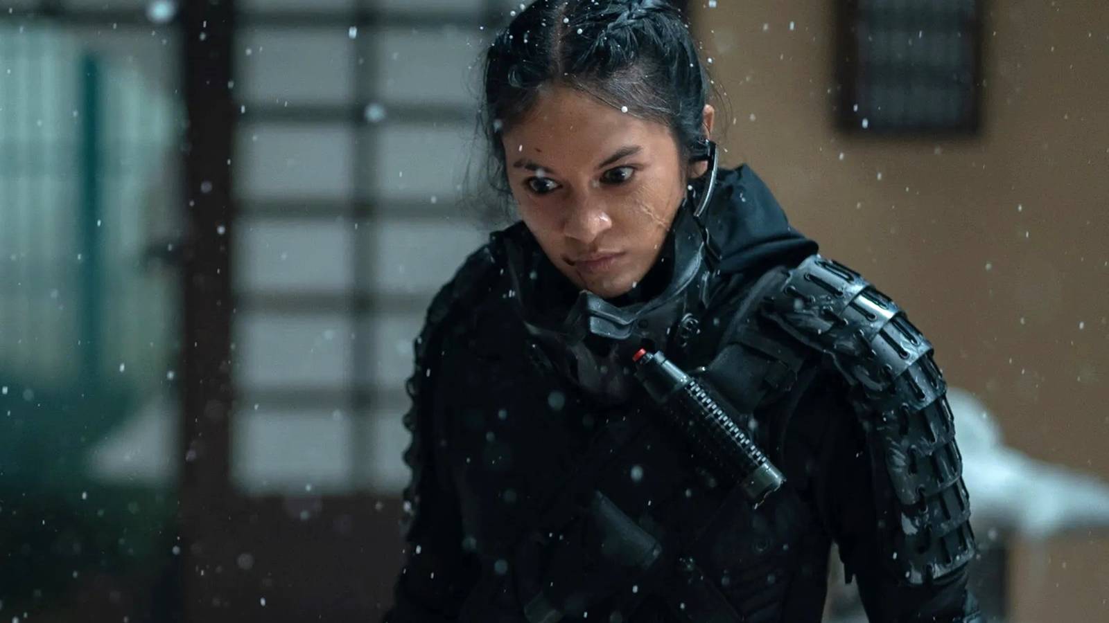 Netflix Action Thriller The Shadow Strays Gets Exciting Sequel Update