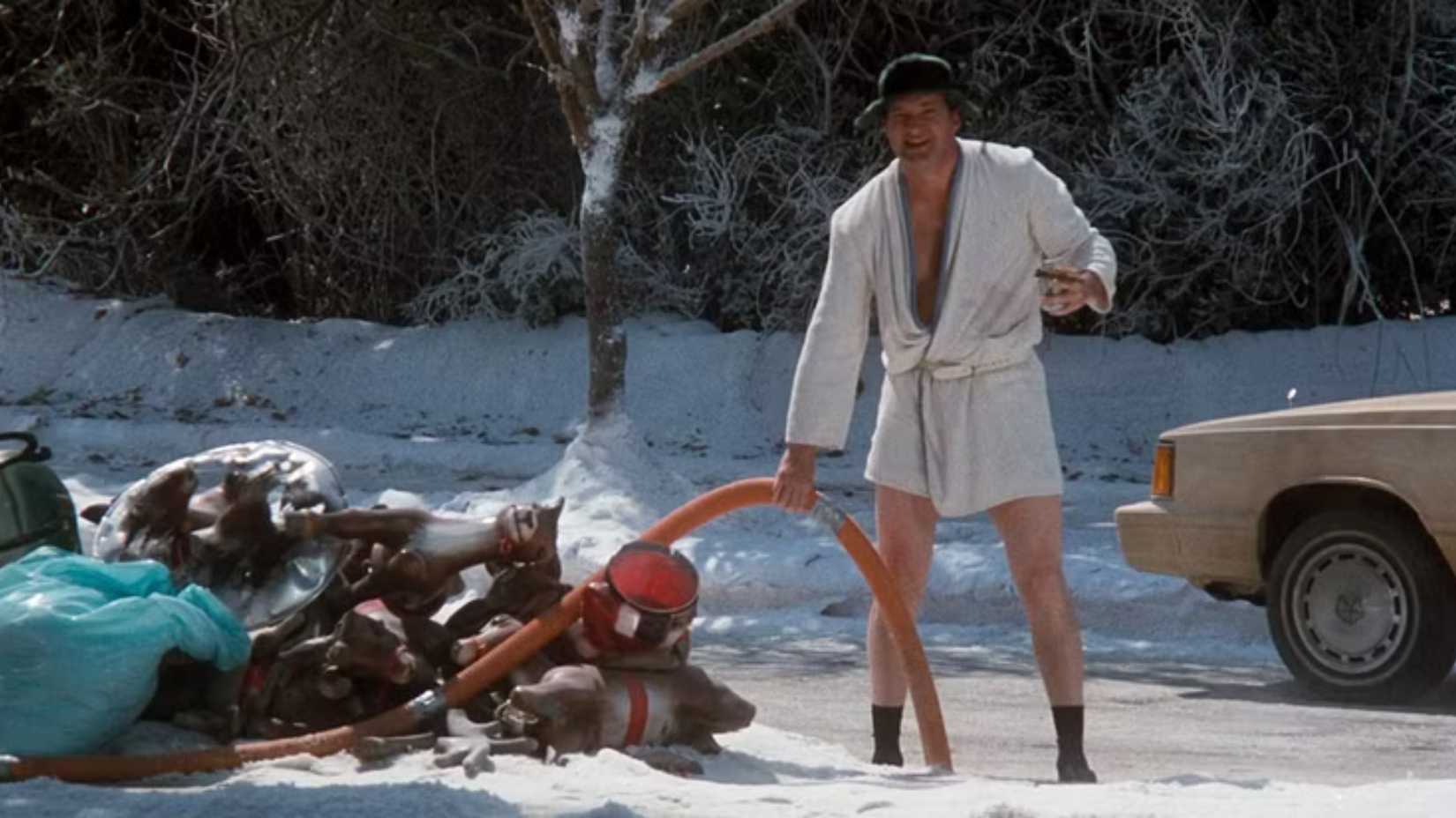 10 Best Quotes From 'National Lampoon's Christmas Vacation'