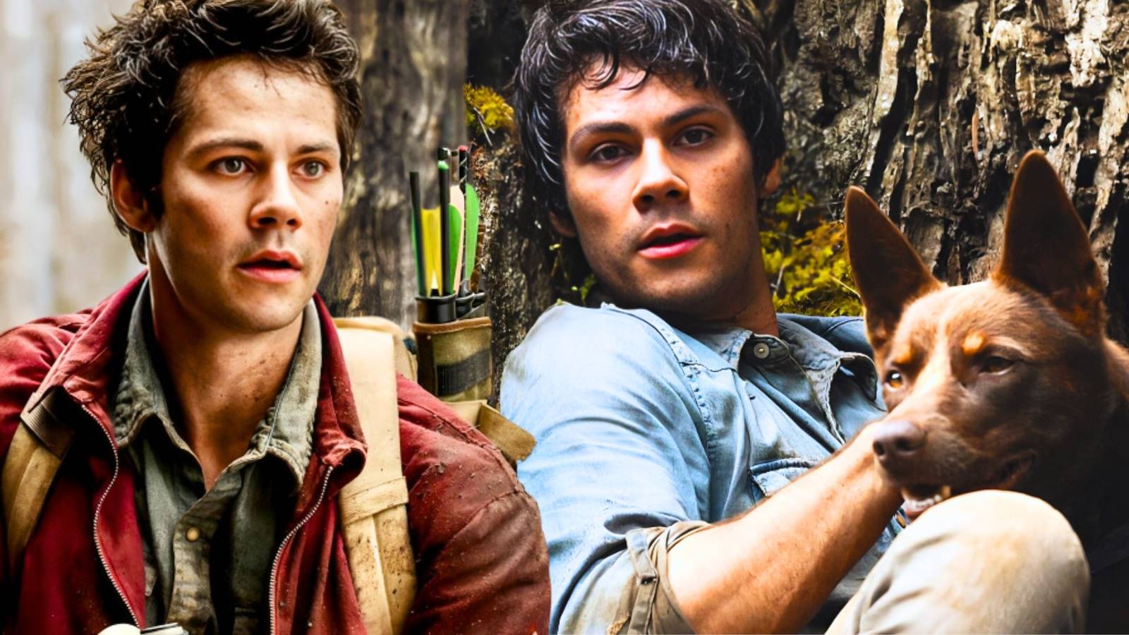 Dylan O'Brien's Best Movie Flopped at the Box Office
