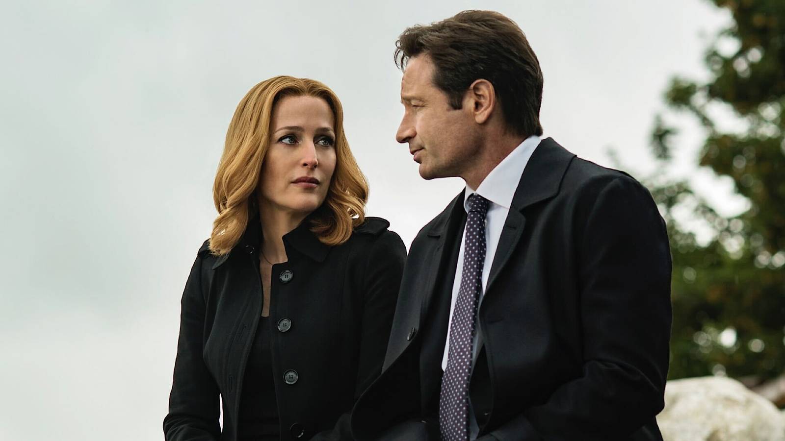 'The X-Files' David Duchovny & Gillian Anderson Address Their Torrid ...