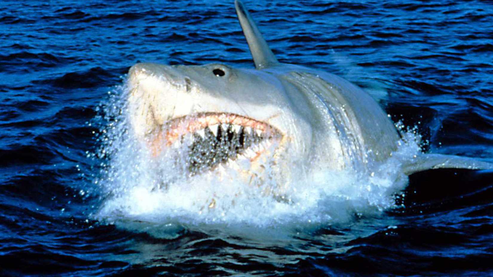 50 Years Ago 'Jaws' Established an Action Trend Picked Up by Jason Statham