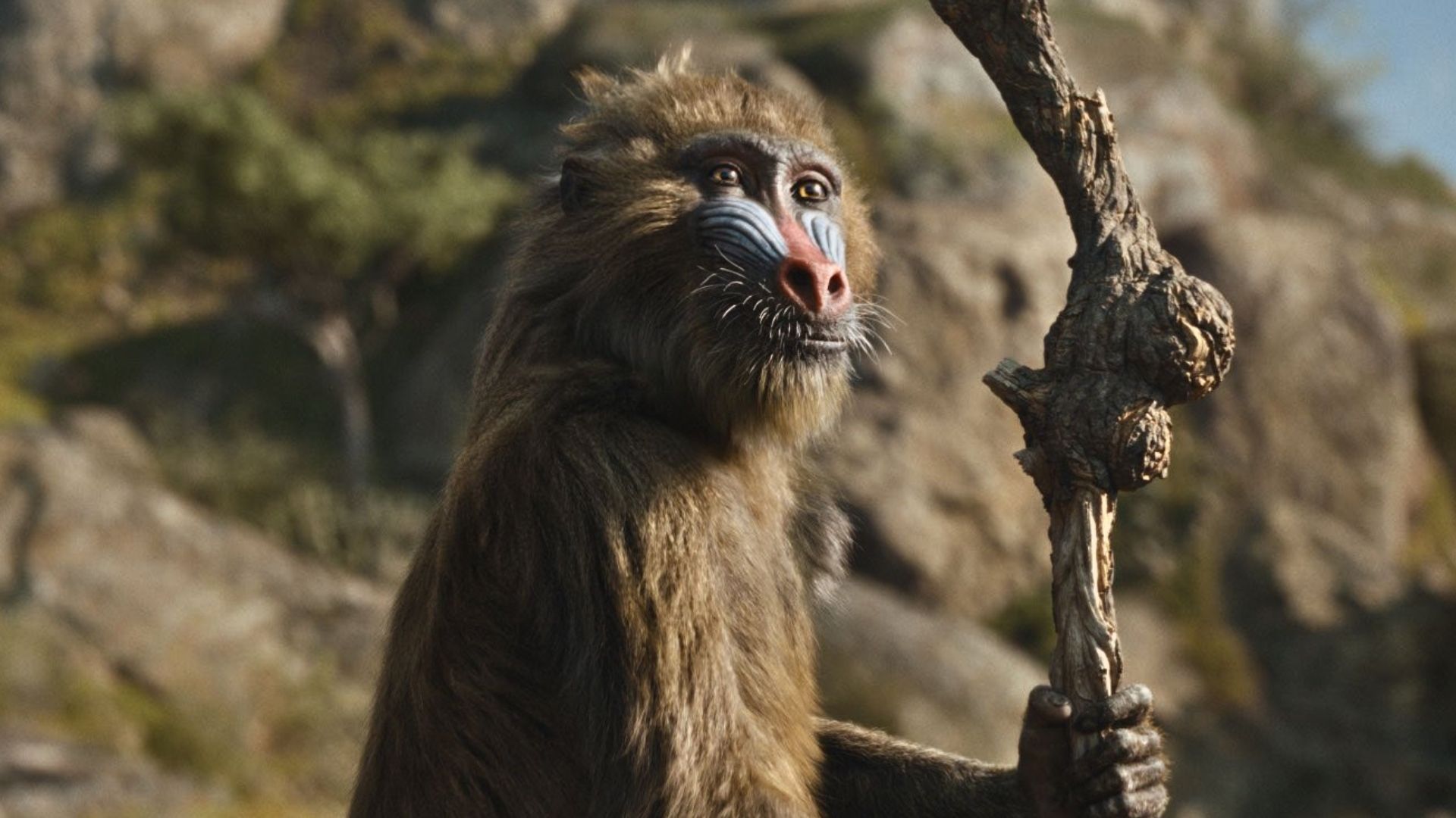 Sad Rafiki