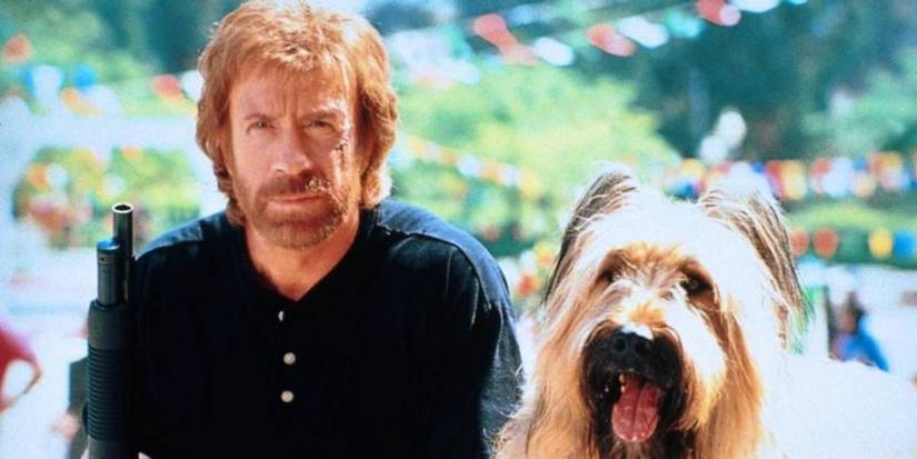 The 10 Best Chuck Norris Movies