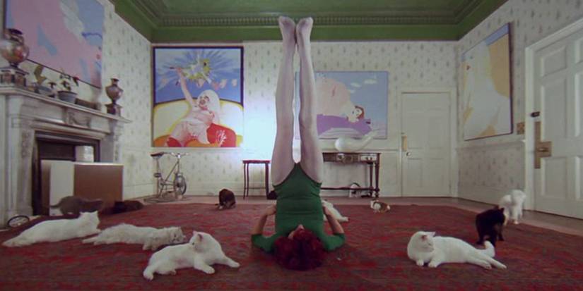 How Stanley Kubrick's Cat Obsession Shaped his Career
