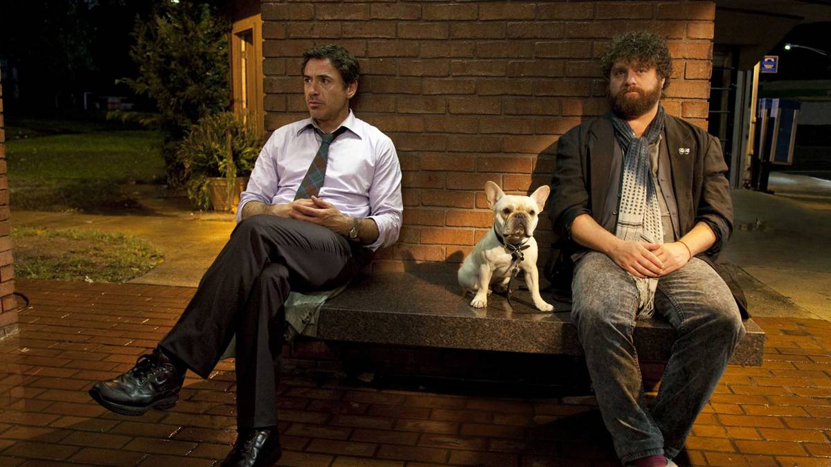 Robert Downey Jr. and Zach Galifianakis Teamed Up for 'Due Date,' Which ...