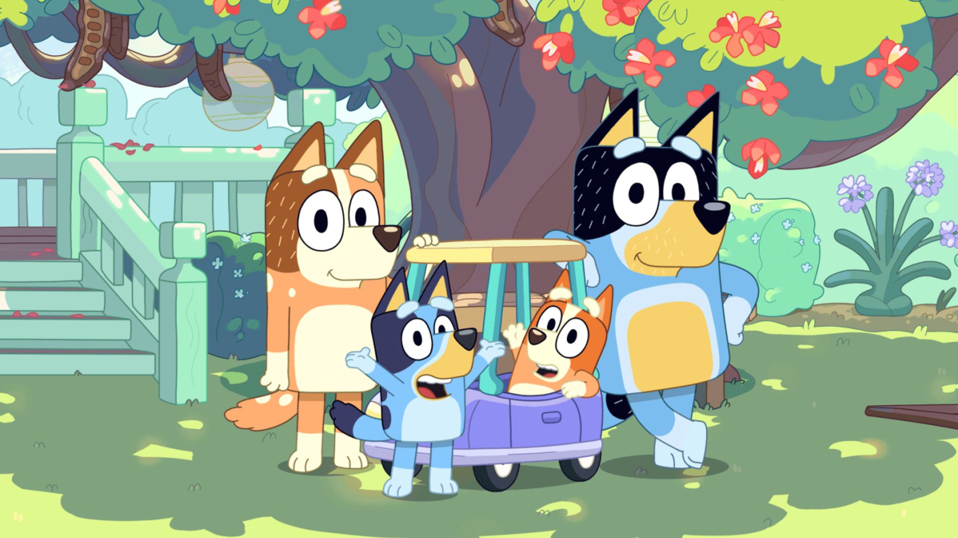 Bluey | MovieWeb