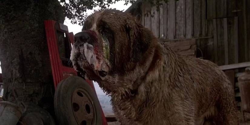 Stephen King's 'Cujo' Starring Dee Wallace Is Streaming on Shudder July 1
