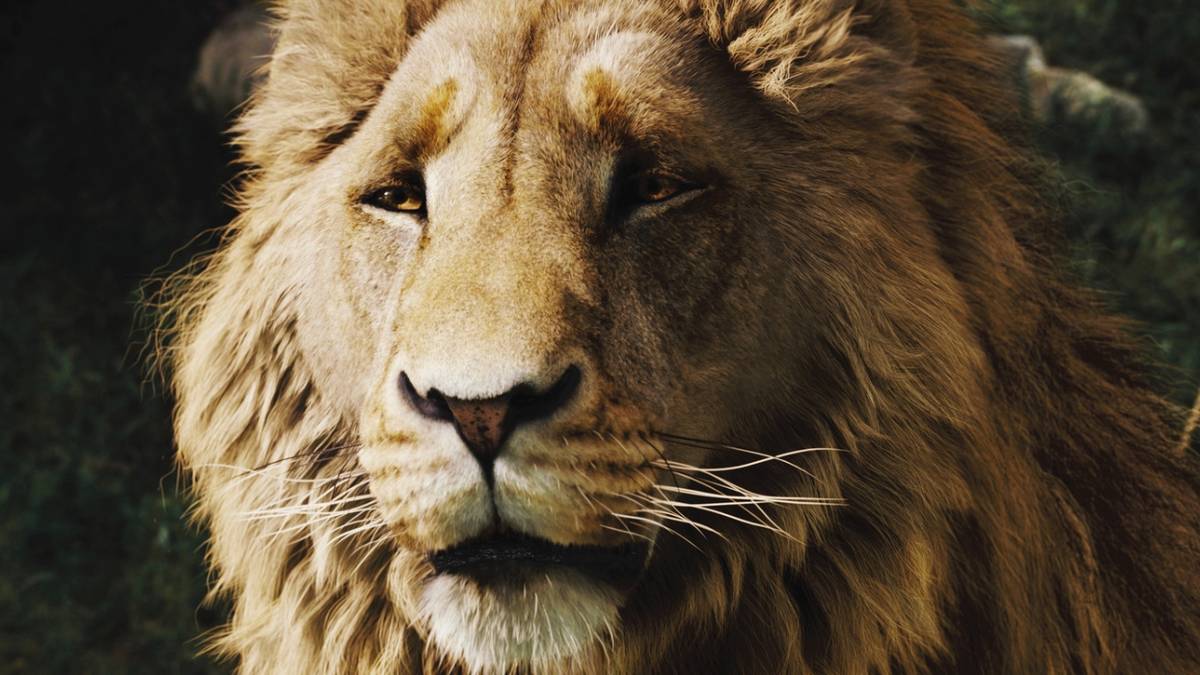 Netflix's 'Narnia' Reportedly Looking To Cast Meryl Streep as Aslan