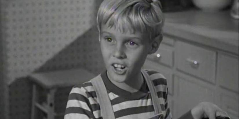 'Dennis the Menace' Series Star Jay North Dies Aged 73