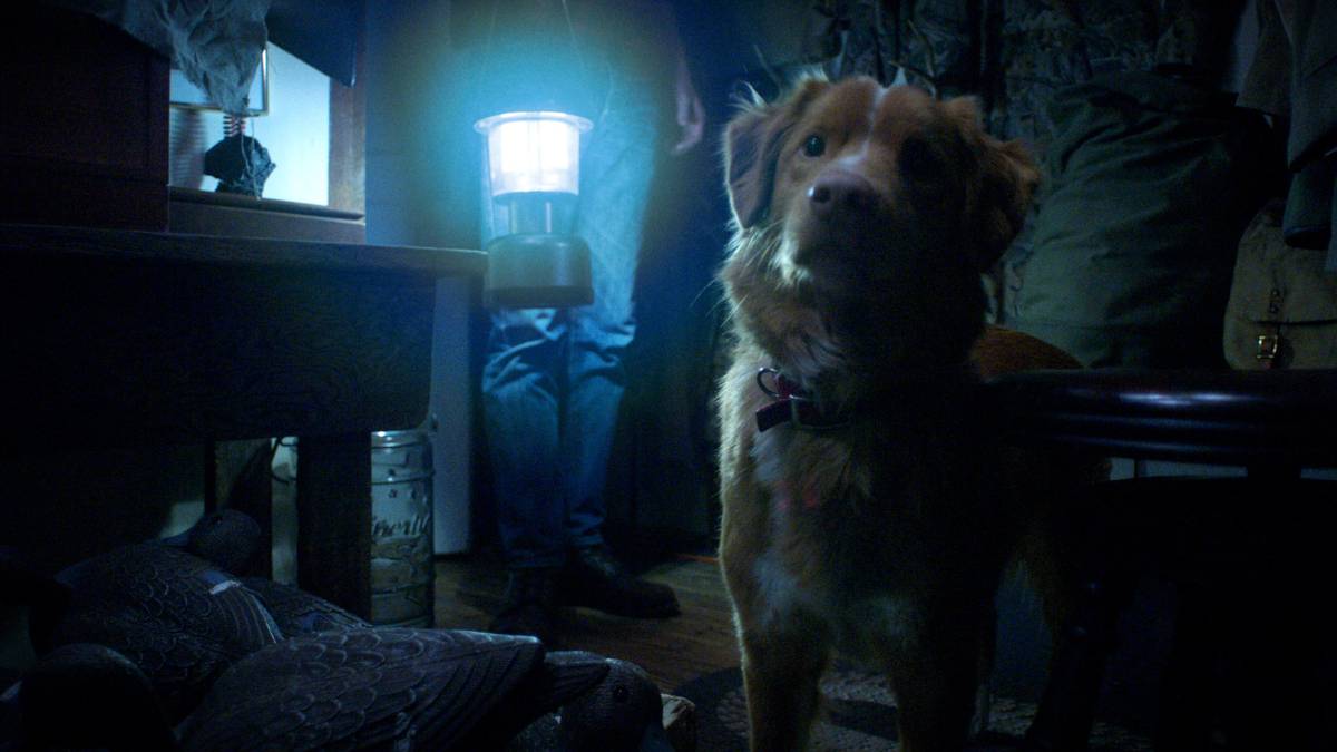 Shudder's 'Good Boy' Tells a Haunted House Tale Through the Eyes of a Dog