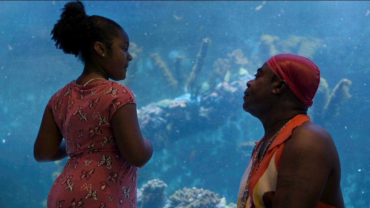 'Octopus' Review: Phoebe Waller-Bridge Narrates Breezy Nature Doc