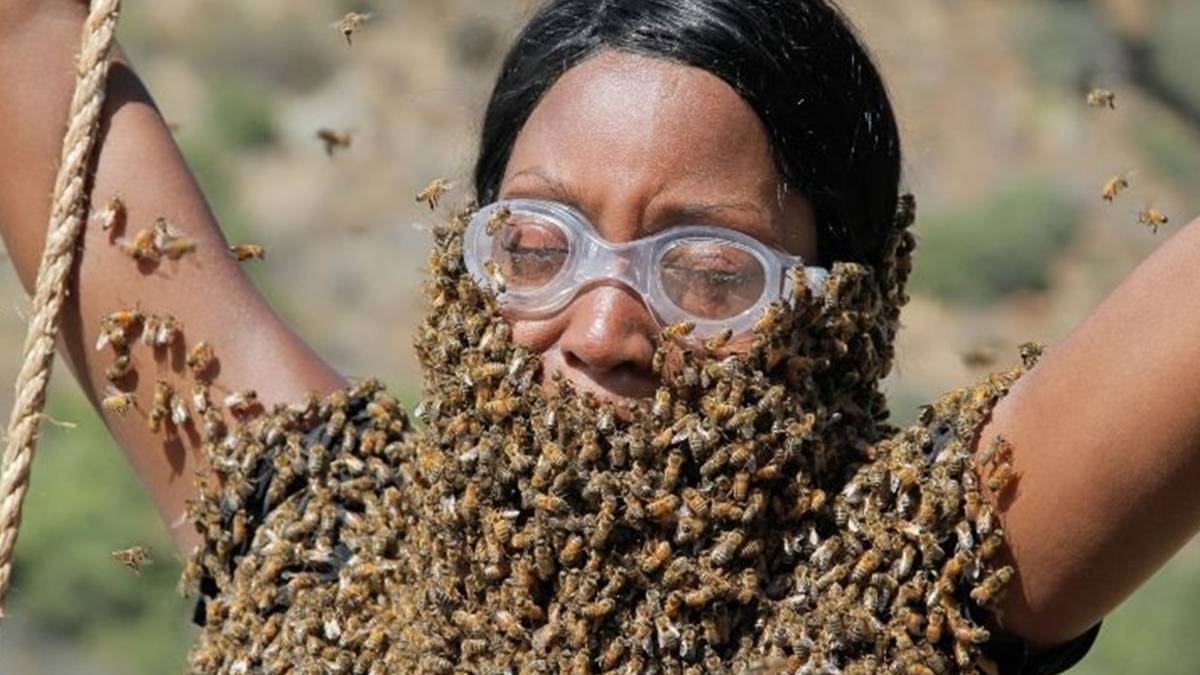 Fox's 'Fear Factor' Reboot Hires 'Jackass' Johnny Knoxville as New Host