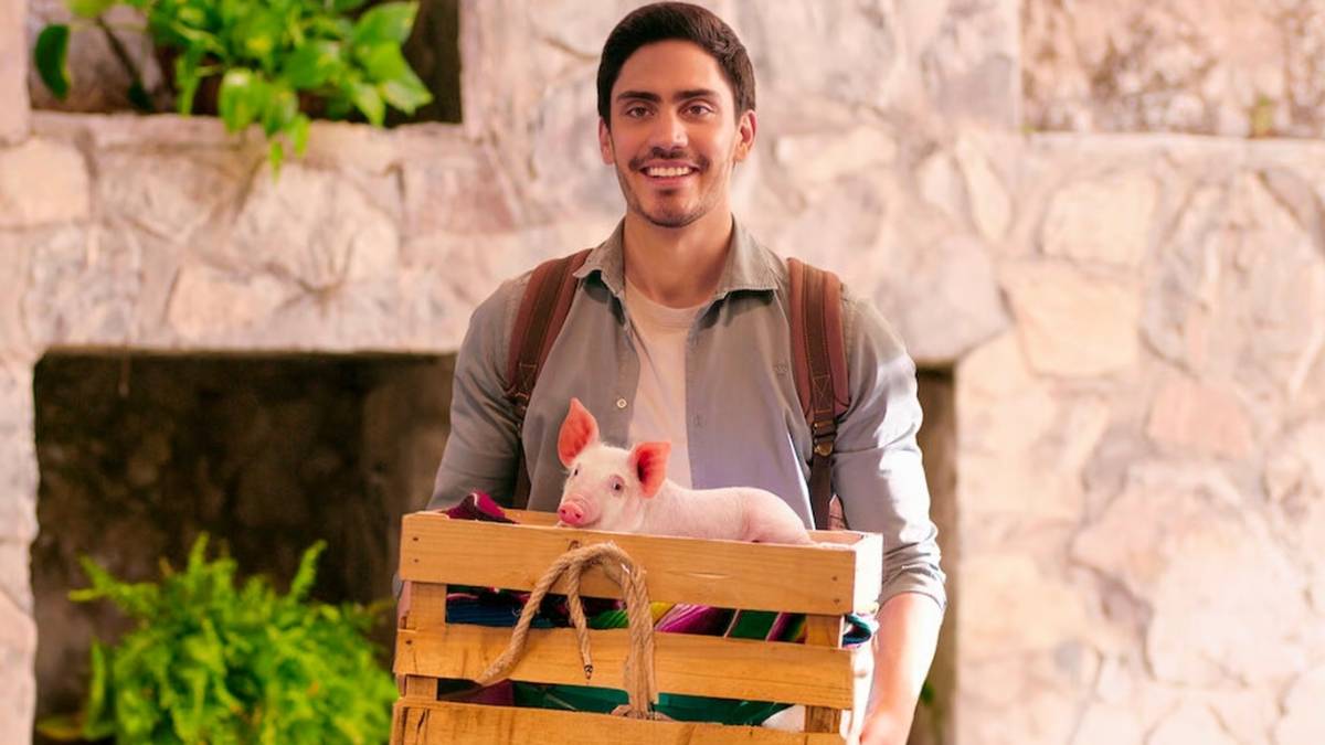 10 Most Underrated Sitcoms on Netflix