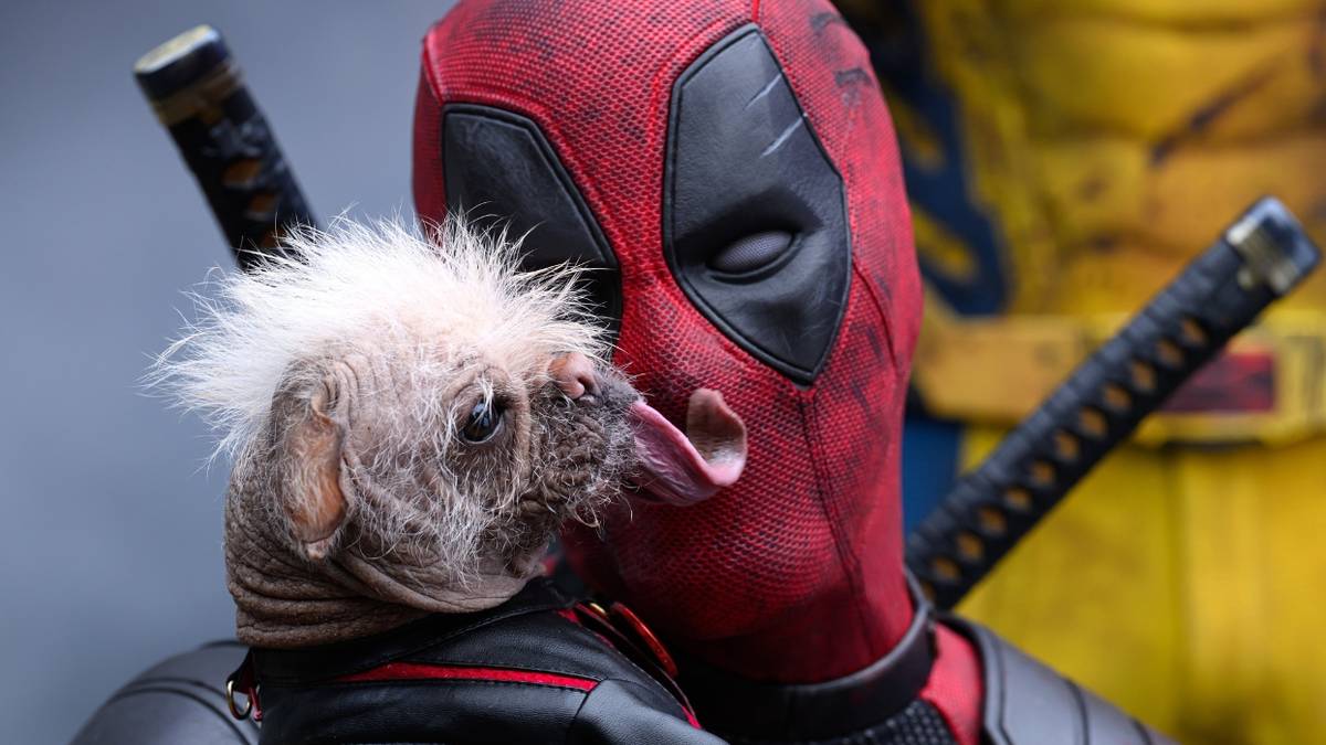 20 Most Indisputably Entertaining Movies of All Time