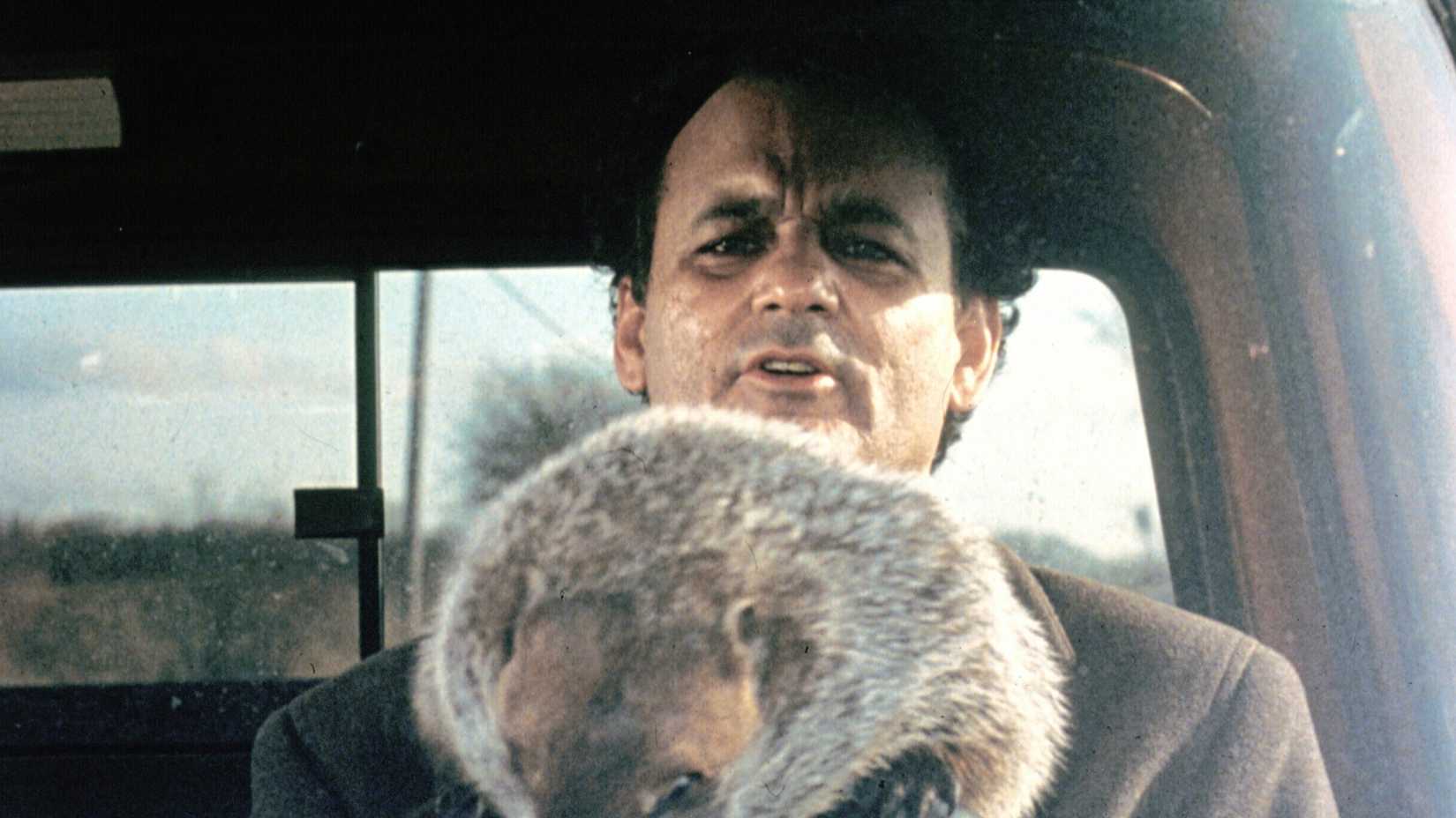 'Groundhog Day': The Fantasy Movie It Took 12 Years For Roger Ebert To ...