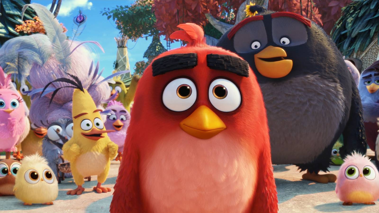 'The Angry Birds Movie 3' Adds MrBeast and Salish Matter to Voice Cast