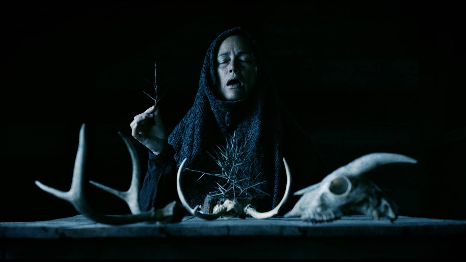 'Mother of Flies' Clip Offers Fans a Grotesque Look at New Folk Horror ...