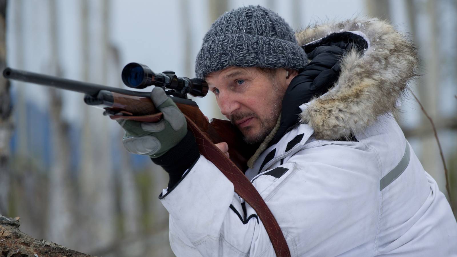 14 Years Later, Liam Neeson's "Haunting" Survival Thriller Lands on ...