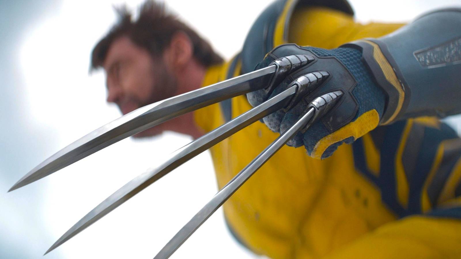 Wolverine Fans Think This Unknown Actor "Would Be Perfect" to Take Over ...