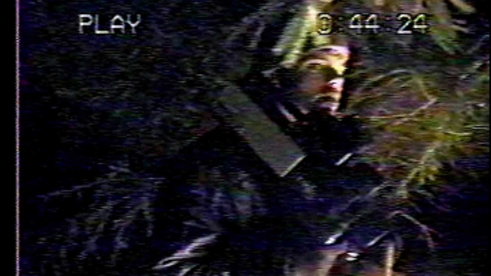 'The Blair Witch Project' Overshadowed Another Great Found Footage ...