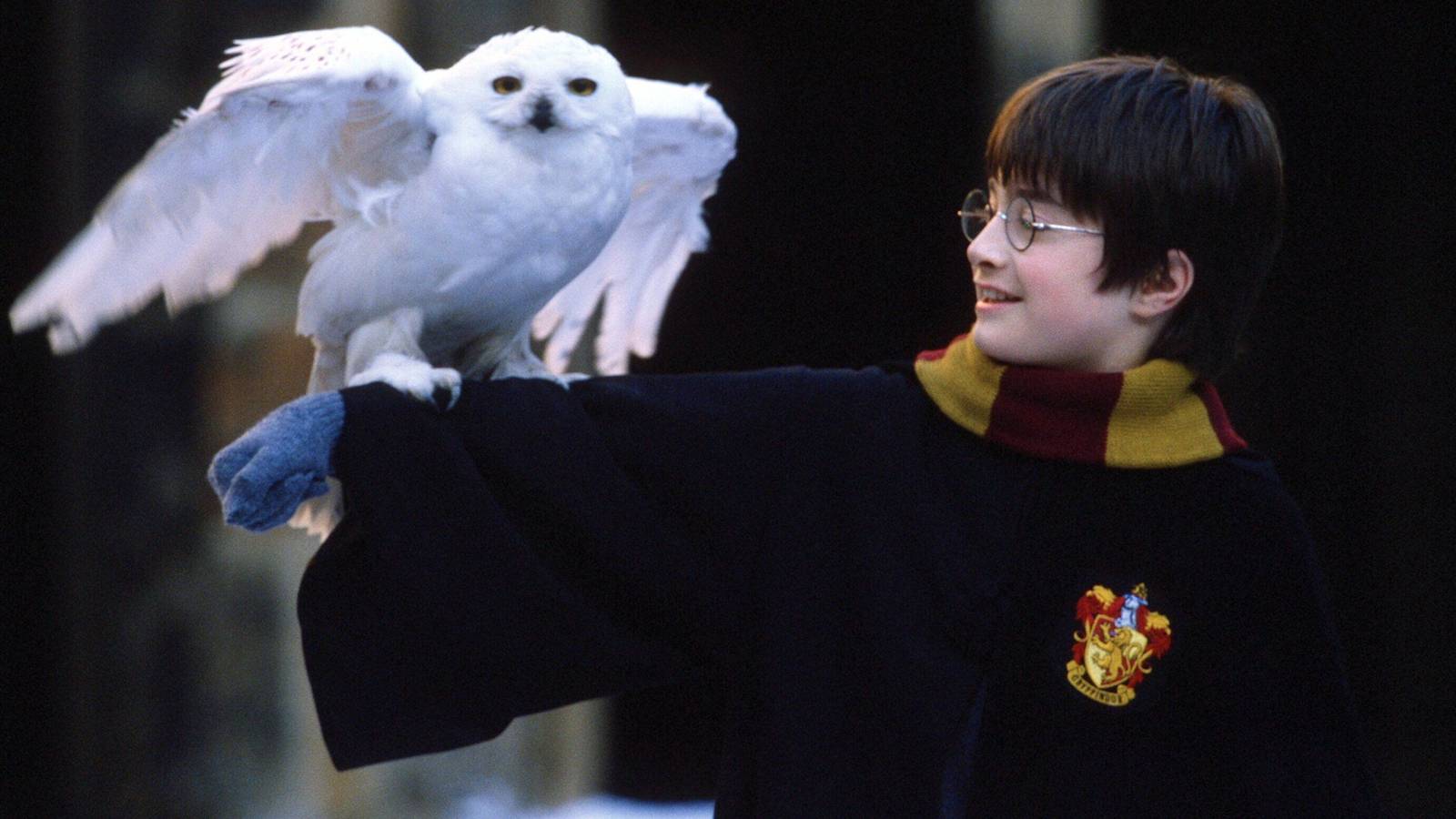 'Harry Potter' HBO Series Enlists Hans Zimmer to Compose Original Score