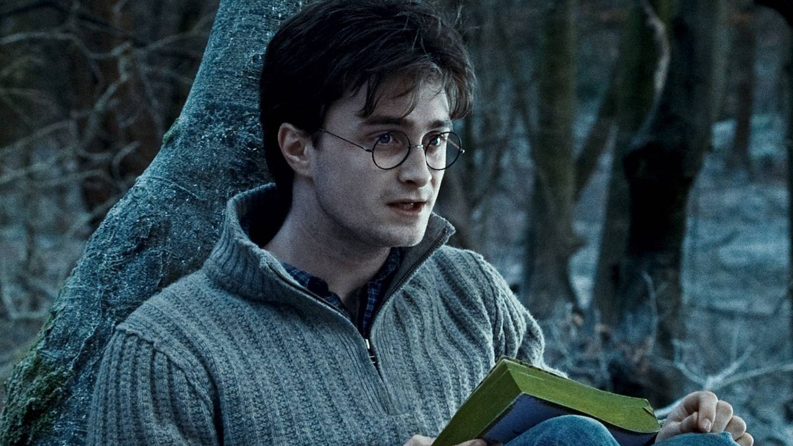 Voldemort's Defense Against the Dark Arts Curse in 'Harry Potter' Is ...