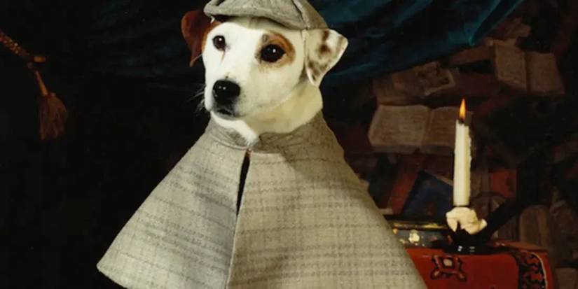 The 10 Best 1990s TV Shows No One Remembers