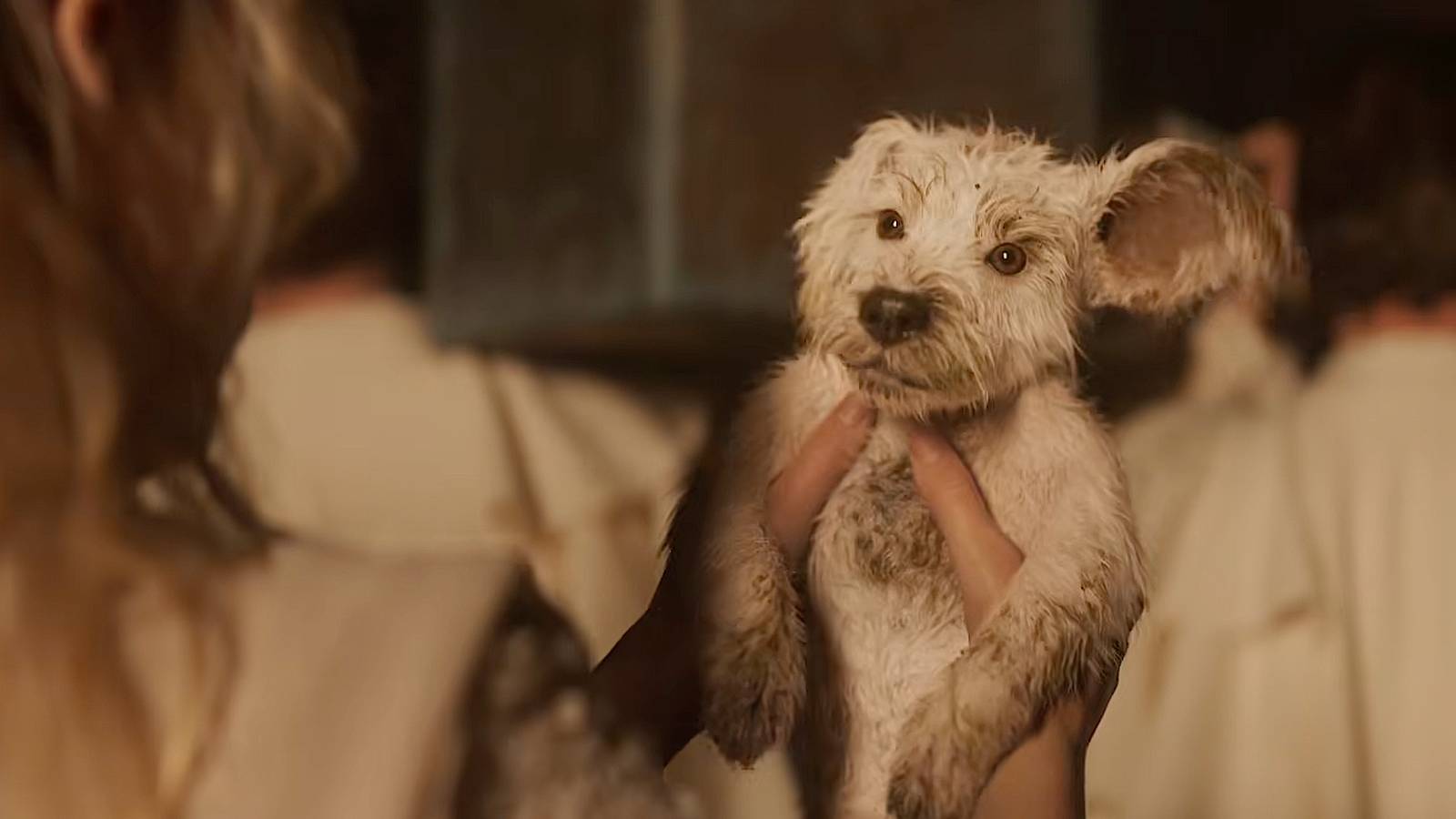 'Supergirl' Super Bowl Teaser Introduces Baby Krypto and Destruction of ...