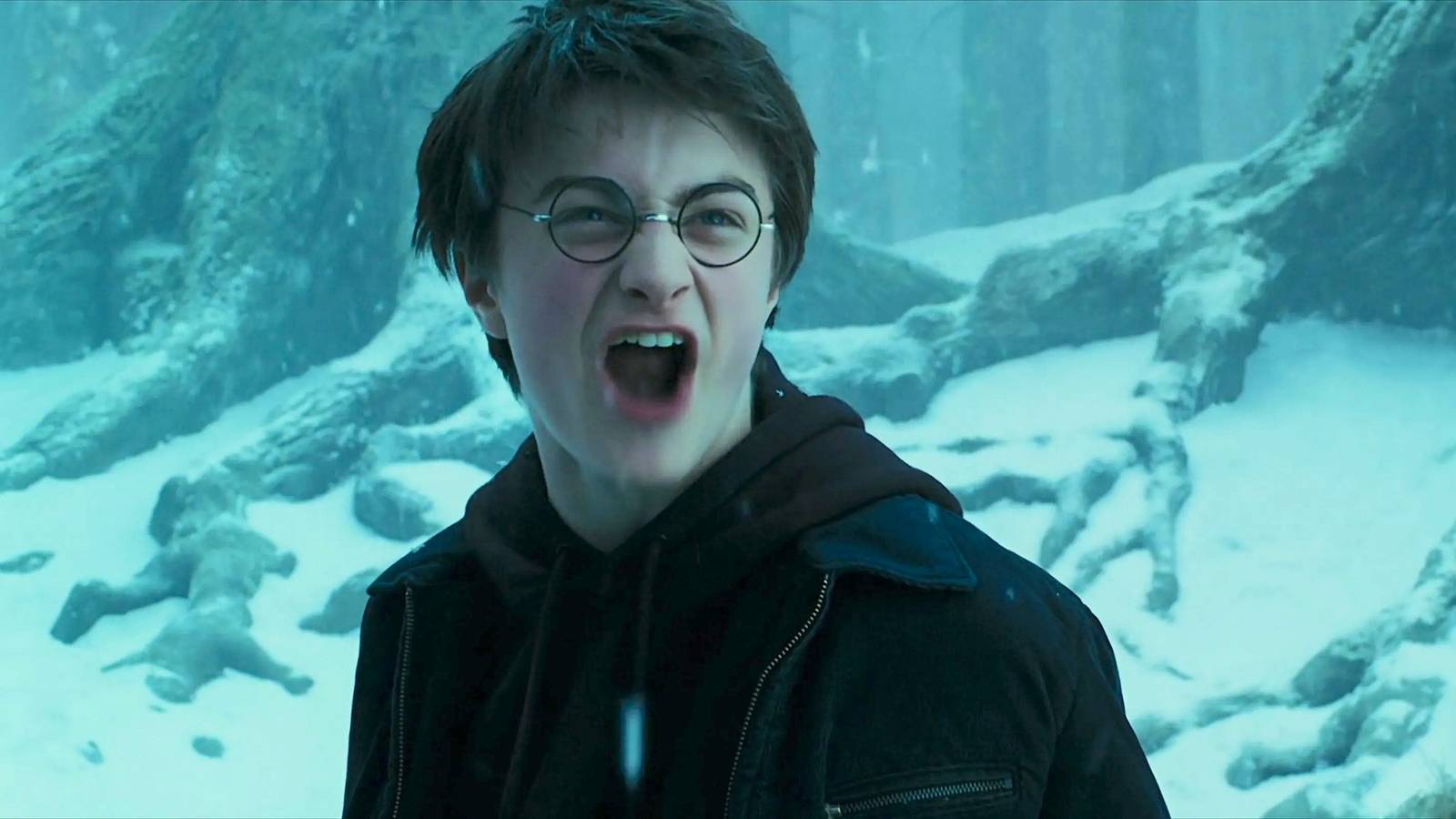 'Harry Potter's Biggest Problems That Even HBO Can't Fix