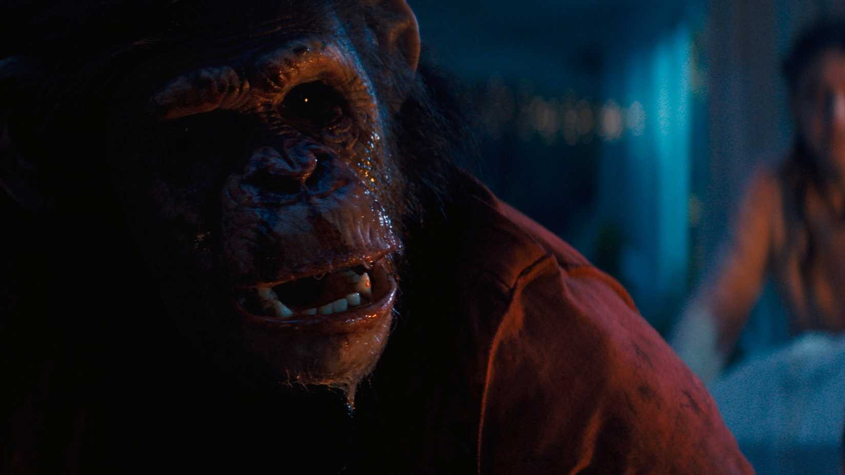One of 2026's Best Horror Movies Finally Sets Streaming Release Date