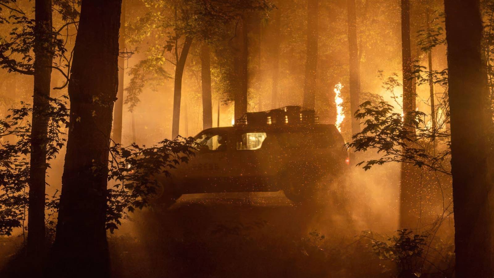 A24's Big Budget War Movie 'Civil War' Is a Streaming Success on Prime ...