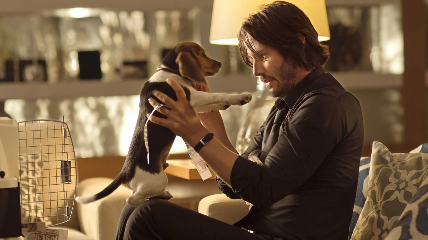 'John Wick 5': Confirmation, Plot, Cast & Everything We Know