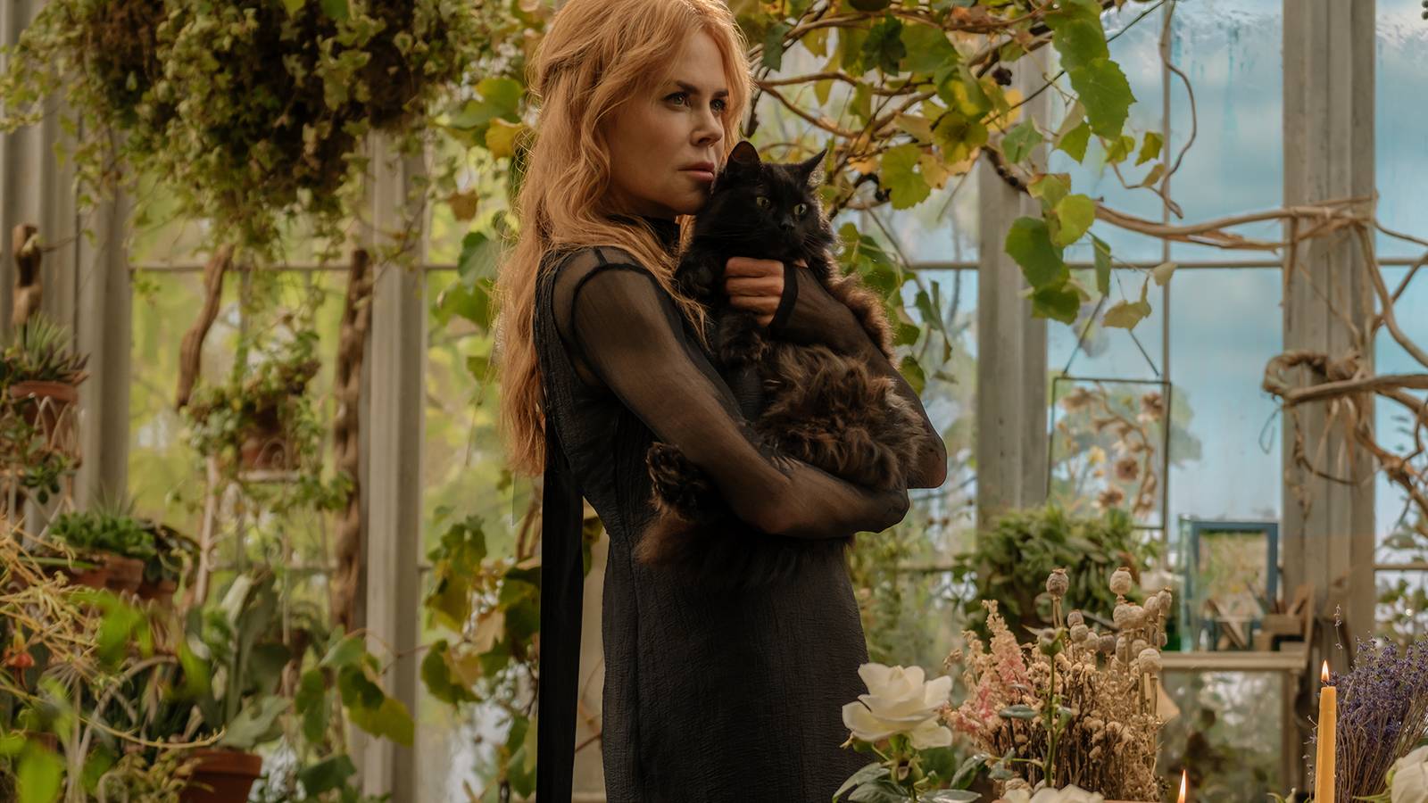 'Practical Magic 2' Teaser Trailer Features Return of Nicole Kidman ...