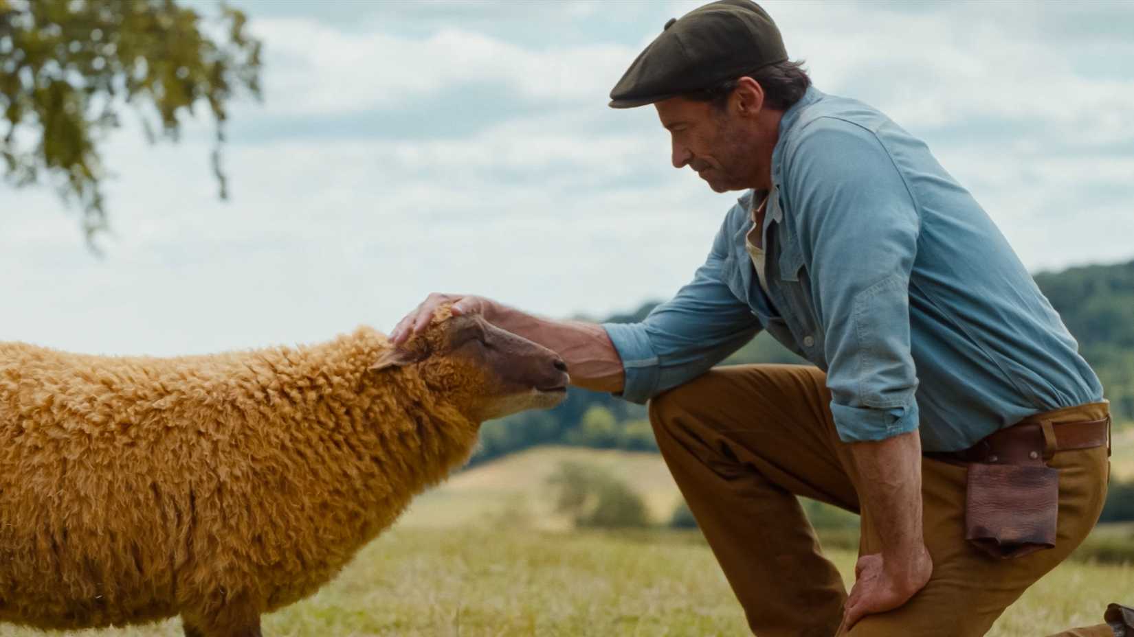 Hugh Jackman Mystery Film 'The Sheep Detectives' Lands Impressive ...