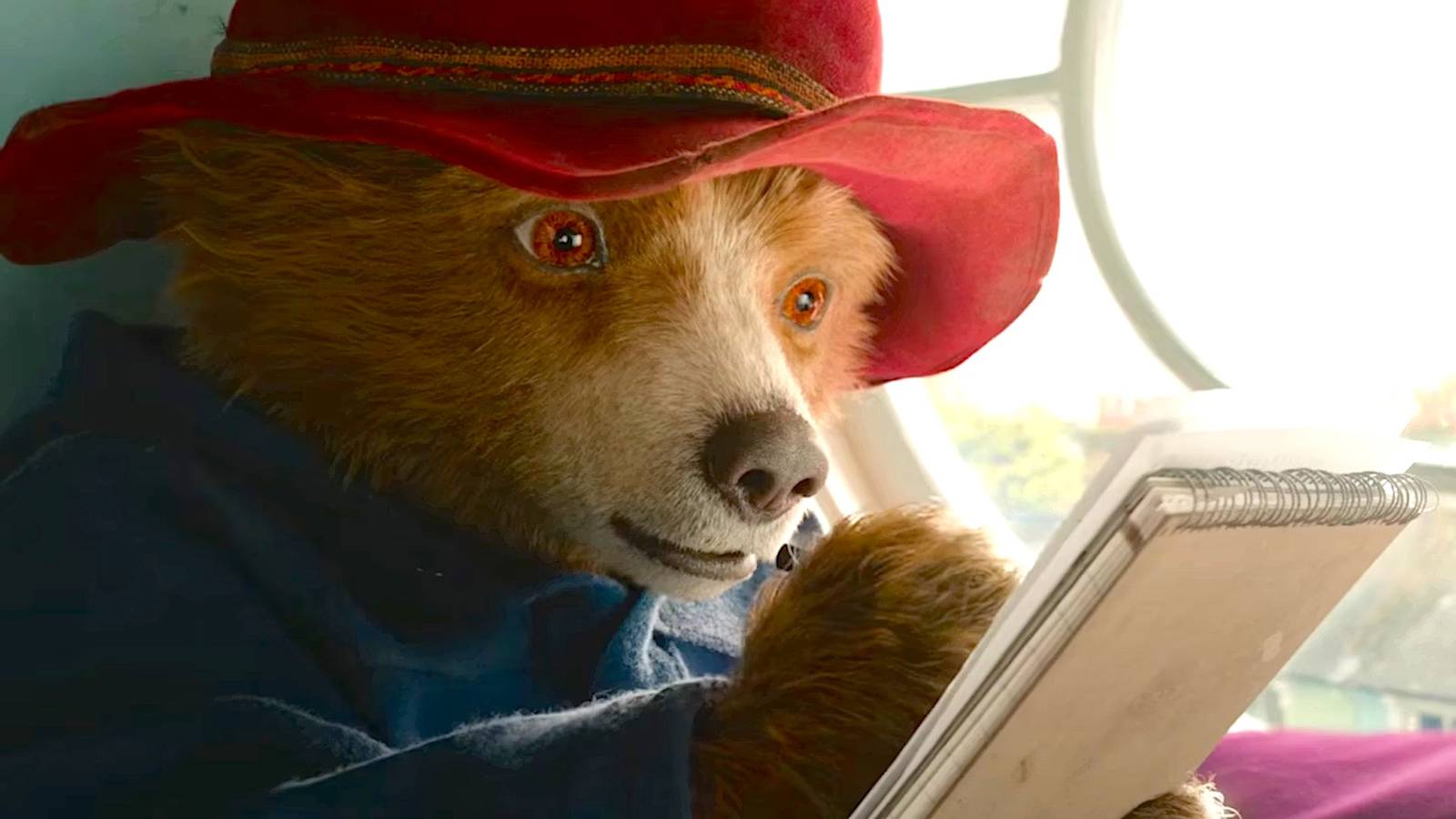 'Paddington 4' Hires R-Rated Comedy Genius to Mastermind Fresh Sequel