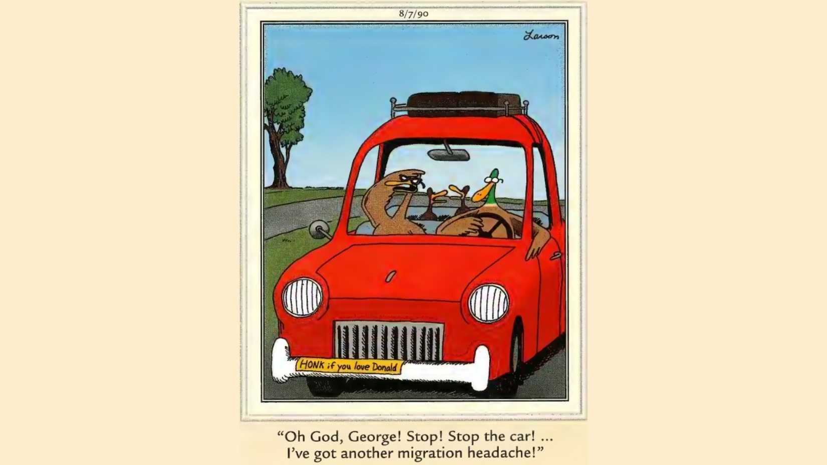 10 Funniest Far Side Comics About Ducks