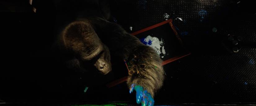 The One and Only Ivan Trailer Brings One Very Special Gorilla to ...