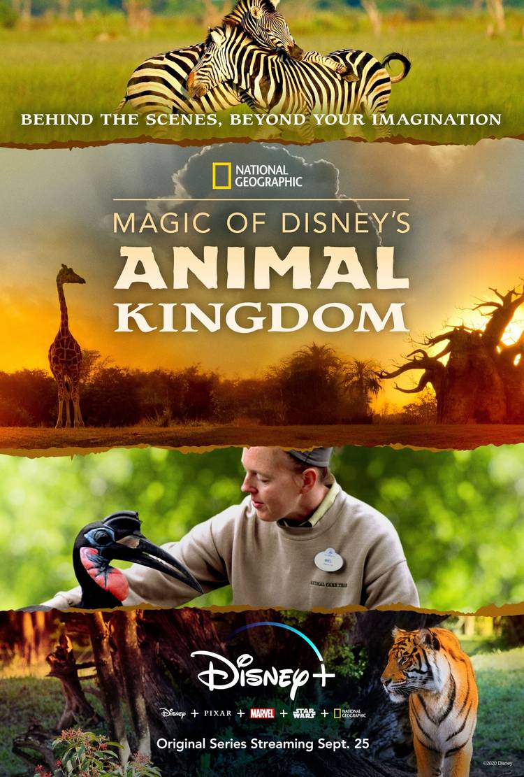 Magic of Disney's Animal Kingdom Docu-series Brings the Park to Disney+ ...