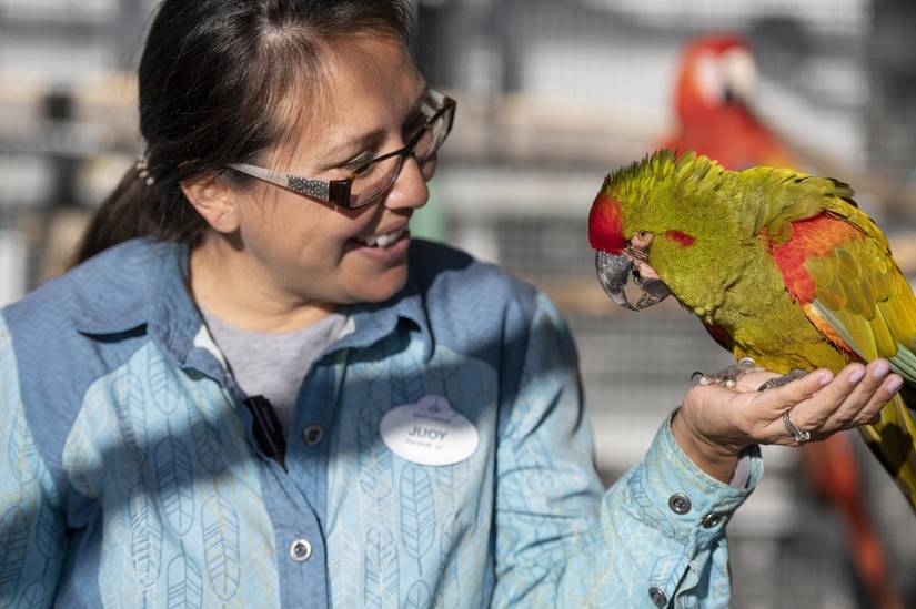 Magic of Disney's Animal Kingdom Docu-series Brings the Park to Disney+ ...