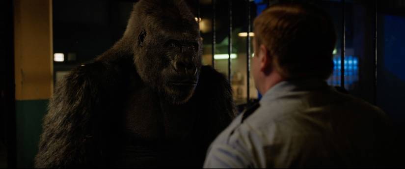 The One and Only Ivan Trailer Brings One Very Special Gorilla to ...