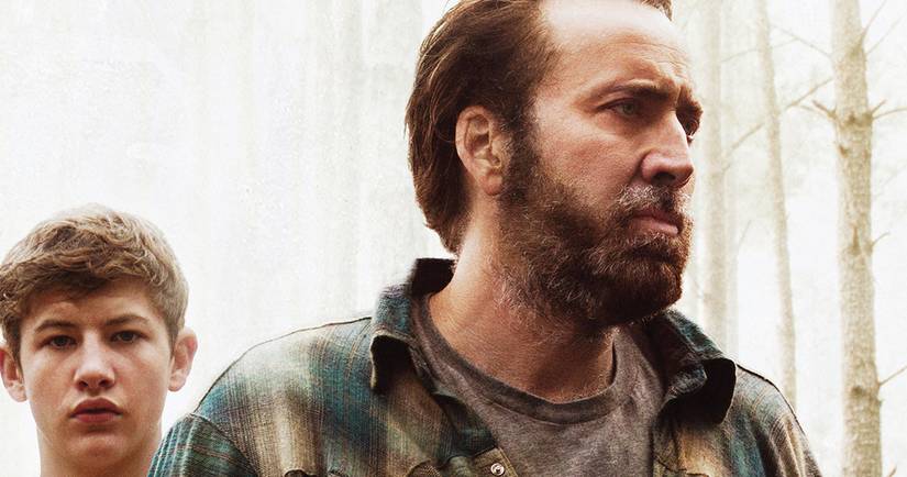 Highest Rated Nicolas Cage Movies on Rotten Tomatoes
